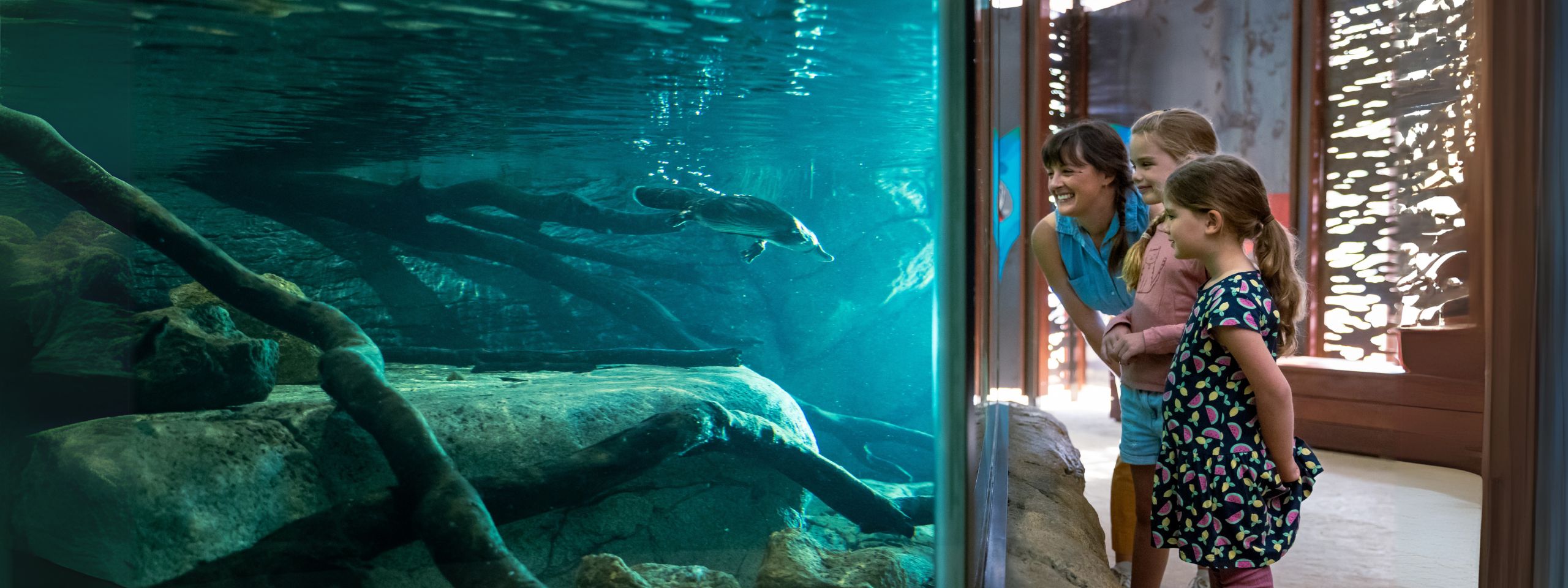 Great Big Adventure Pass Package - Bluegum Dubbo